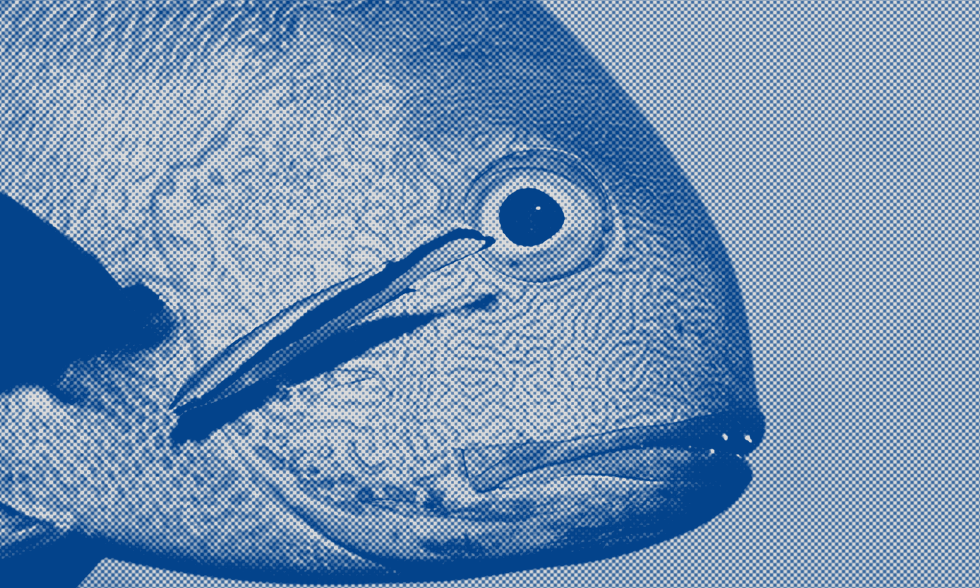 Christian Gym Apparel: Blending Fitness and Faith – Kases